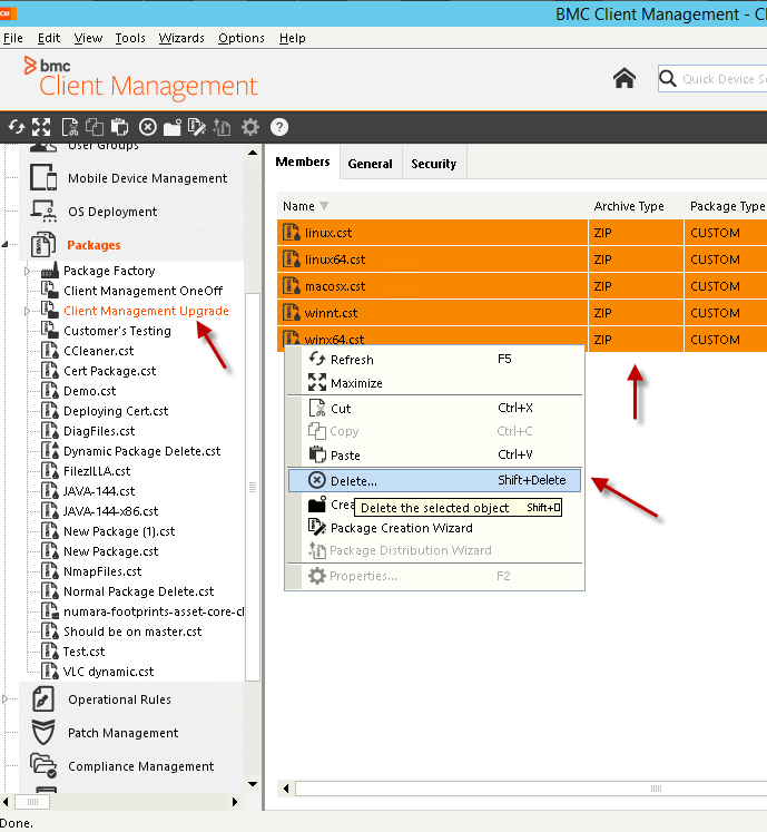 Delete all .cst files from Packages and oneoff folder
